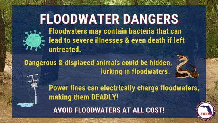 Staying Safe on the Roads After Hurricane Milton - Auto Safety Driving ...
